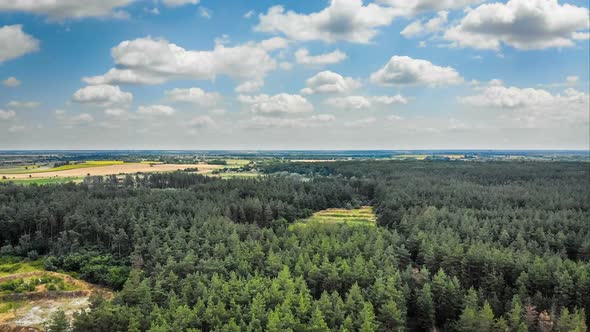 Hyperlapse Aerial View Over Green Forest with Moving Clouds in Blue Sky ...