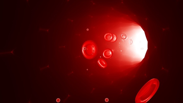 Blood Flow, Motion Graphics | VideoHive