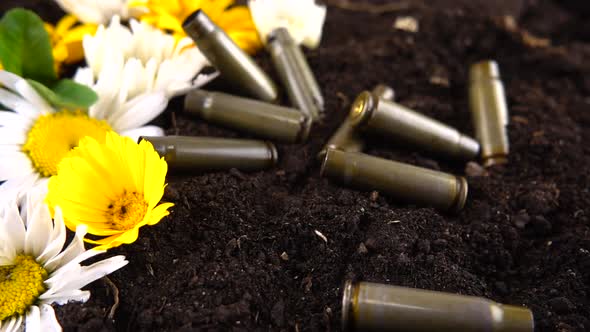 Bullet casings fall to the ground and chamomile flowers. Slow motion ...