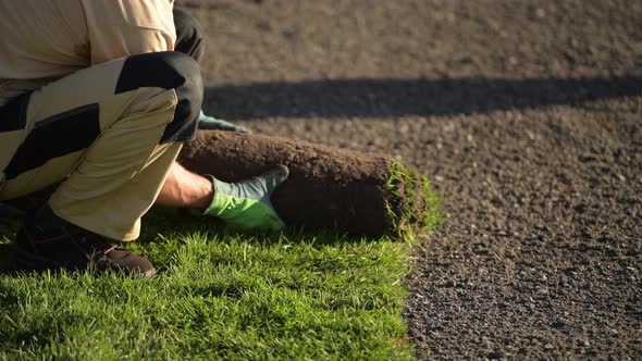 Natural Grass Installation, Stock Footage | VideoHive