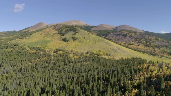 Fall foliage at Boreas Pass, CO, Stock Footage | VideoHive