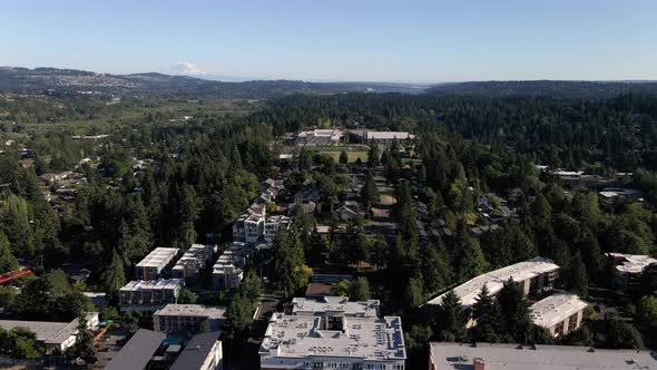 Aerial View Of Bellevue Washington Suburban Neighborhoods With Mt ...