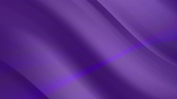 Purple, Motion Graphics | VideoHive