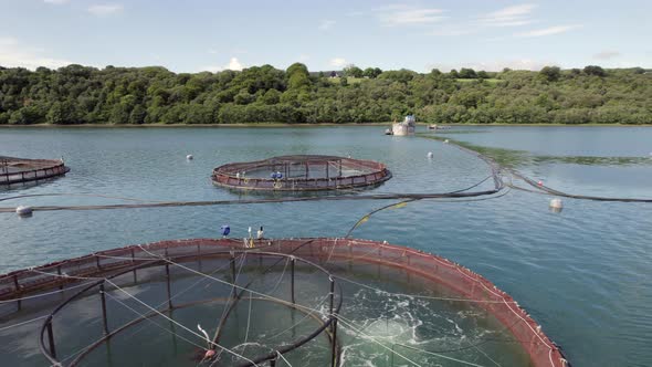 A Fish Farm in Scotland Providing Mariculture for Food Markets, Stock ...
