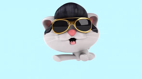 Fun 3D cartoon rockstar cat with alpha channel, Motion Graphics | VideoHive