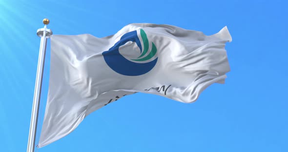 Incheon Flag, South Korea, Motion Graphics | VideoHive