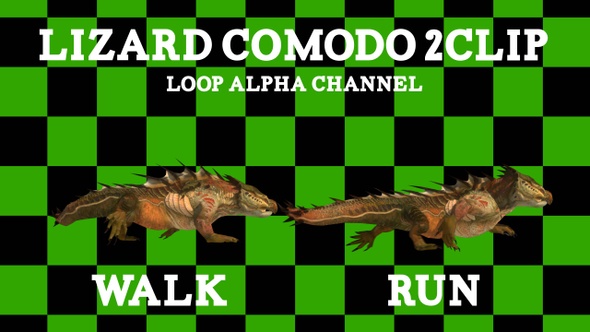 Lizard Comodo 2 Clip Loop, Motion Graphics | VideoHive
