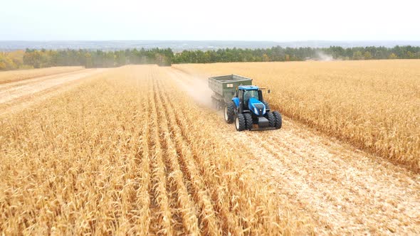 Aerial View of Tractor with Trailer Transporting Corn Cargo Along Field ...