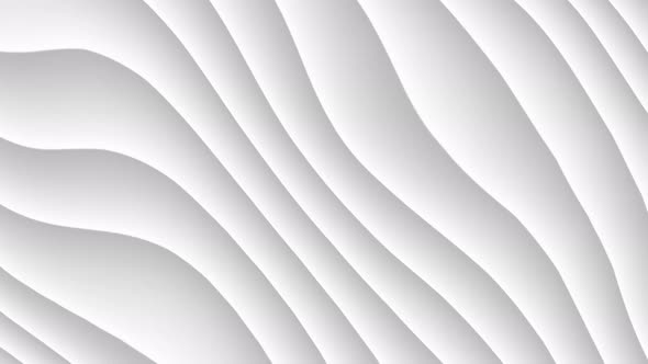 White Background. abstract wave, Motion Graphics | VideoHive