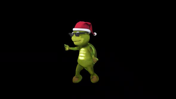 Cartoon Young Turtle Dance 6, Motion Graphics | VideoHive