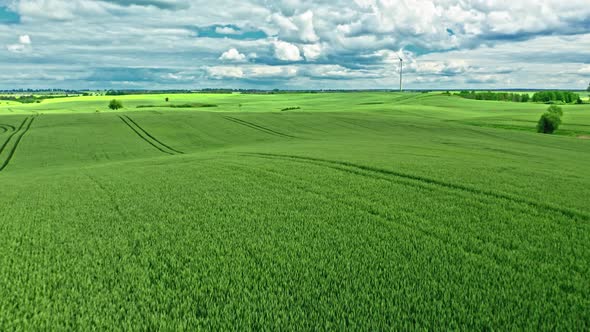 Agriculture in Poland. Field in spring. Aerial view of nature., Stock ...