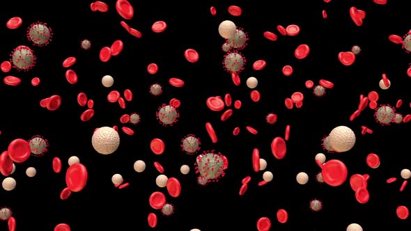Infected Blood, Motion Graphics | VideoHive