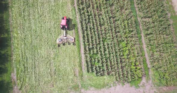Aerial camera rises to show tractor in corn field mowing down ...