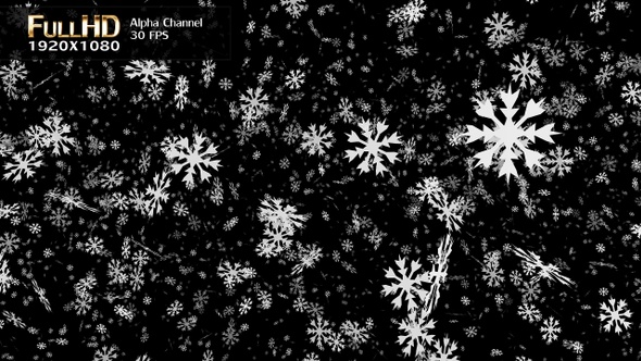 Snowflakes, Motion Graphics | VideoHive
