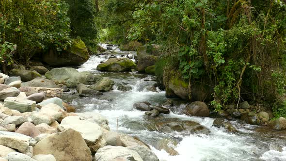 Water stream flowing between rocks in untouched nature. Costa Rica ...