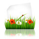 Nature Background with Grass and a Sheet of Paper, Vectors | GraphicRiver