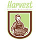 Harvest Local Organic Produce Logo, Logo Templates | GraphicRiver