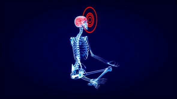 3D Creative abstract zen skeleton, Motion Graphics | VideoHive