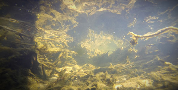 River Underwater, Stock Footage | VideoHive