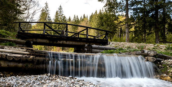 Small Wooden Bridge Over Stream Deep in the Forest, Stock Footage ...