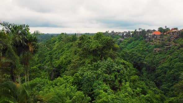 Beautiful cinematic Ubud, Bali drone footage with exotic rice terrace ...