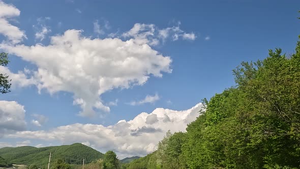 Beautiful time lapse spring nature., Stock Footage | VideoHive