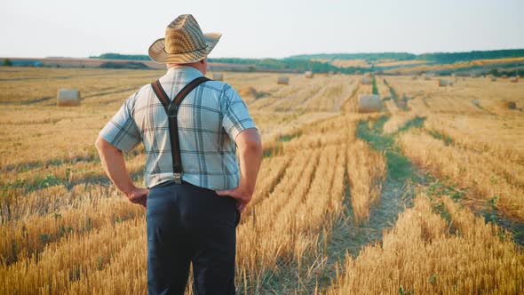 Senior Man Working in a Wheat Field. An Elderly Farmer in a Hat Walks ...
