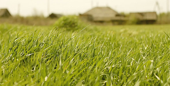 Countryside Green Grass, Stock Footage | VideoHive