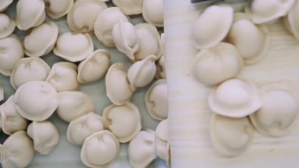 Meat Dumplings Moving on Conveyor., Stock Footage | VideoHive