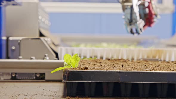 Automated planting process using advanced robot for planting leaves in ...