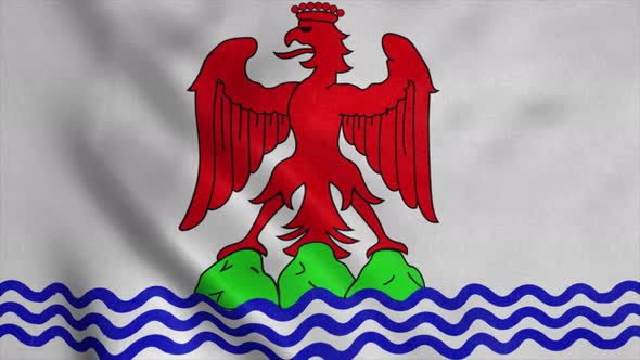 Nice County Flag France Waving in the Wind Background, Motion Graphics