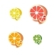 Set of Citrus Icons, Vectors | GraphicRiver