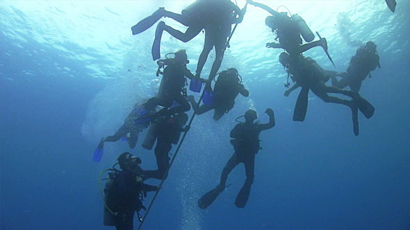 Group of Divers Preparing to Dive 669, Stock Footage | VideoHive