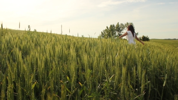 Happy Girl Running Through Wheat Field, Stock Footage | VideoHive