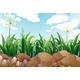 Grass and Rocks, Vectors | GraphicRiver
