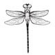 Dragonfly Inky Drawing, Vectors | GraphicRiver