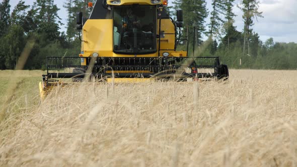 Combine Harvester Working on Organic Rye Field, Stock Footage | VideoHive