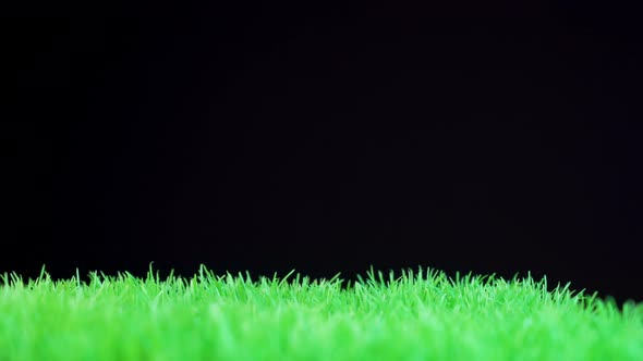 Shiny green grass surface with black background, Stock Footage | VideoHive