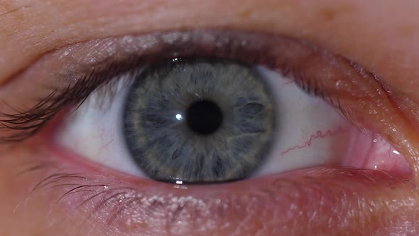 Closeup of the Gray Pupil of the Human Eye in Slowmotion, Stock Footage