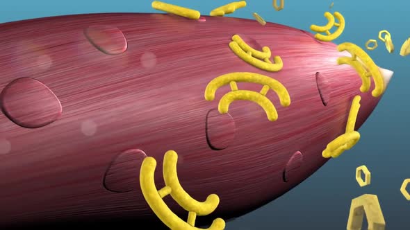 Pancreatic -Cell Electrical Activity and Insulin Secretion, Motion Graphics