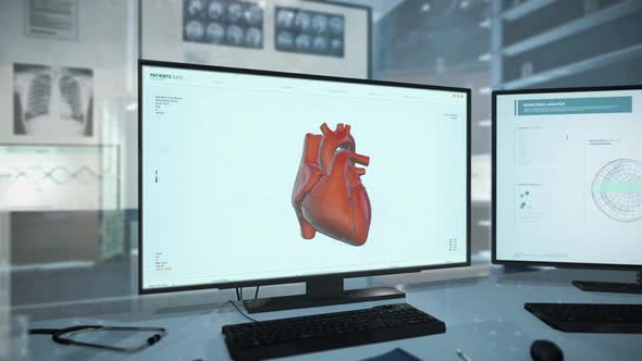 Heart Organ Scan In Interface Of Medical Computer Software For Disease ...