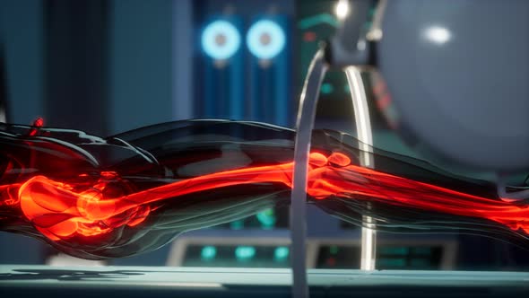 Human Skeleton Bones Scan Exam in Lab, Motion Graphics | VideoHive