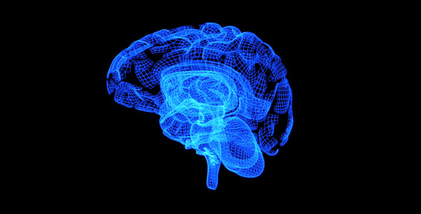 Brain - 3D Wireframe - Spinning Formation, Motion Graphics | VideoHive