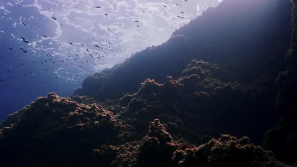 Underwater shot of an underwater cliff and waves crushing on rocks in ...