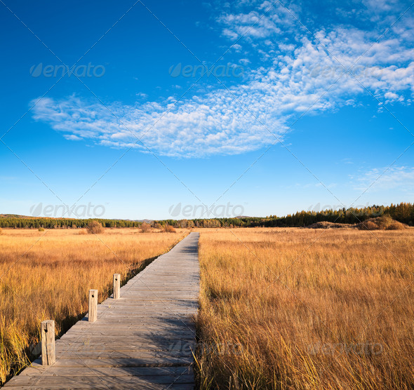 beautiful wetland park in autumn Stock Photo by chuyu2014 | PhotoDune