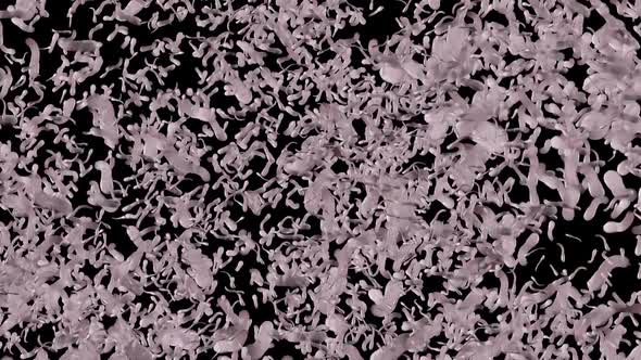 elementary life forms . observation of an unknown life form background ...