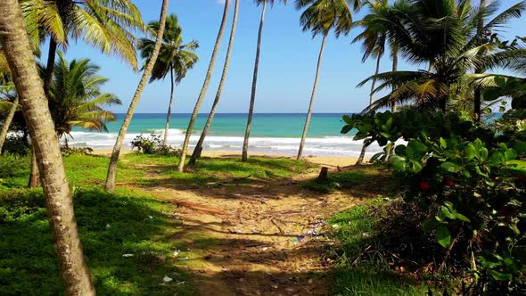 Walking on natural sandy seaside tropical beach path under shades of ...