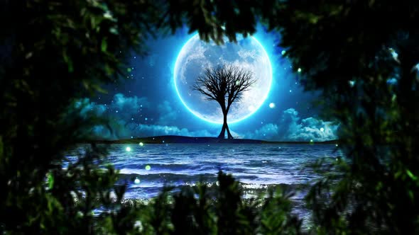 Moon night background | Night forest loop, Motion Graphics | VideoHive