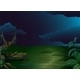Natural Night Scene, Vectors | GraphicRiver