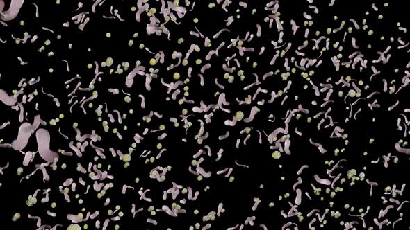 elementary life forms . observation of an unknown life form background ...